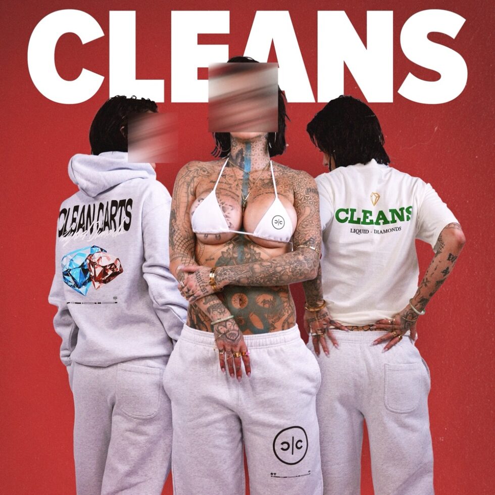 Clean Carts - Clean Carts disposable
